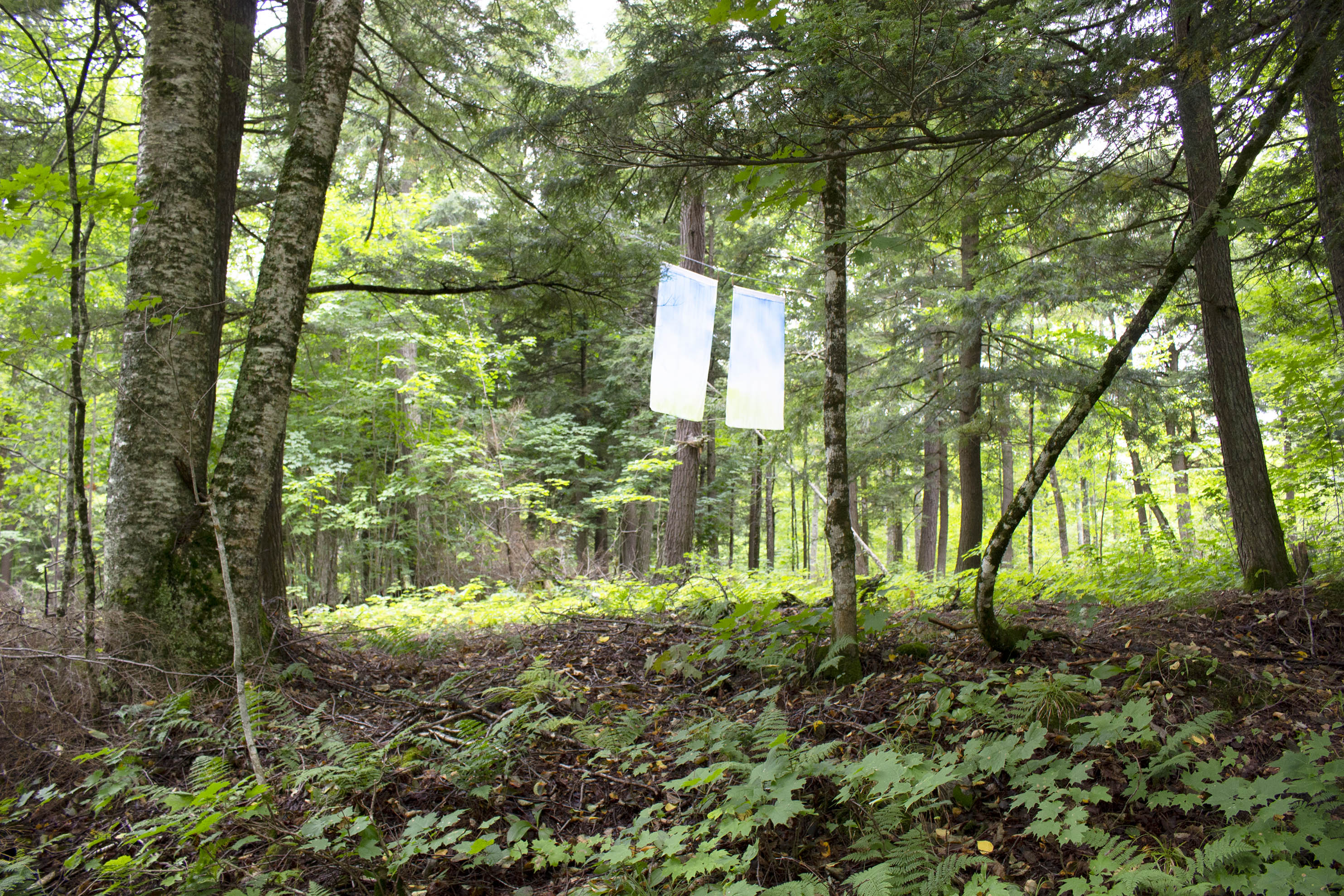 Where ART meets STEM | News, Sports, Jobs - The Mining Gazette